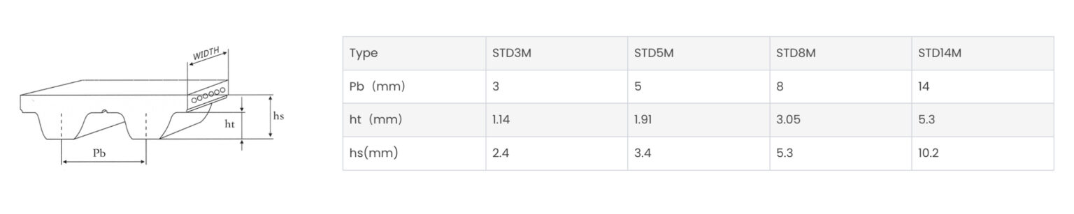 Timing Belt Tooth Profile and Pitch