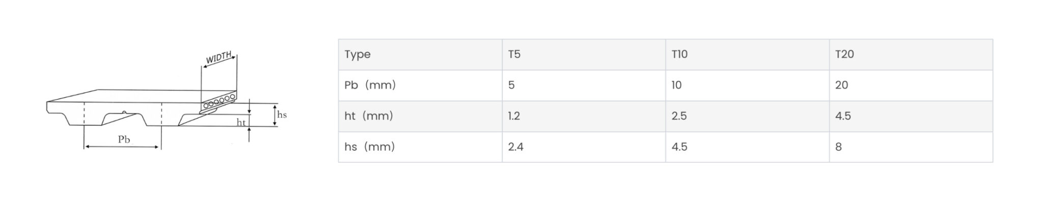 Timing Belt Tooth Profile and Pitch
