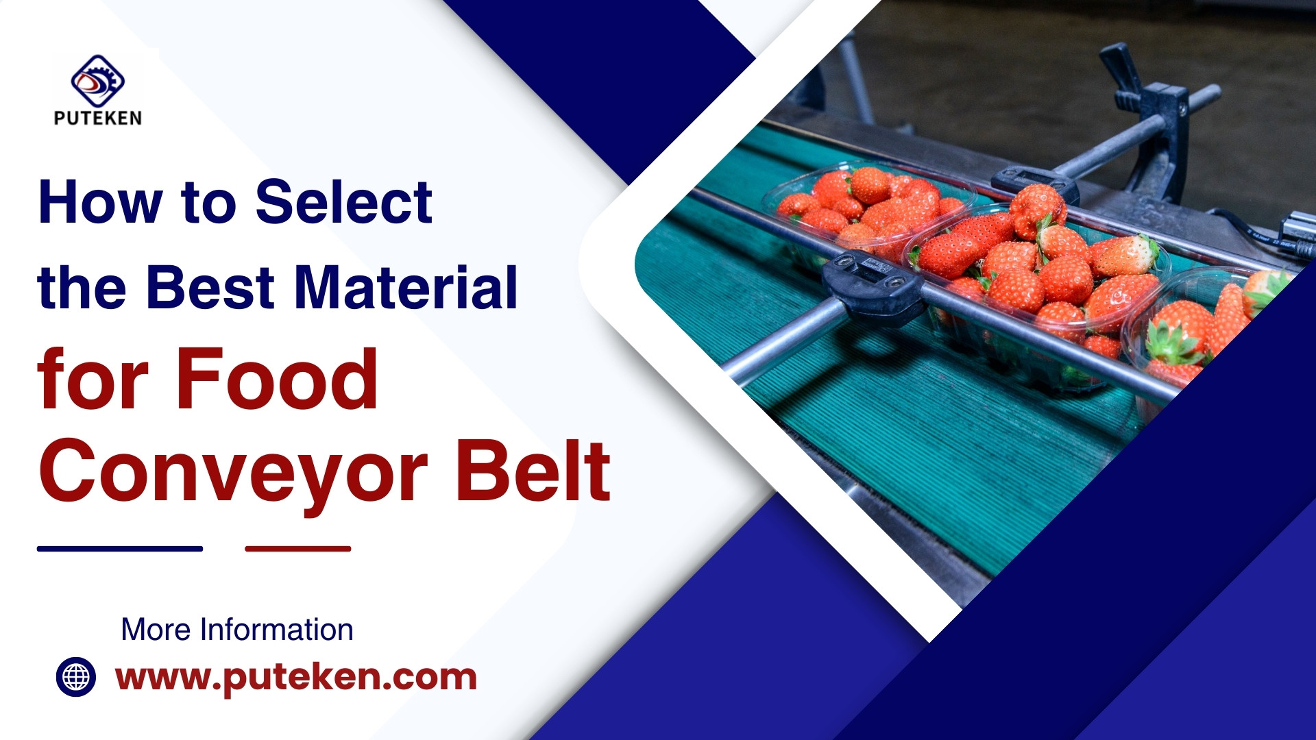 How to Select the Best Material for Food Conveyor Belts
