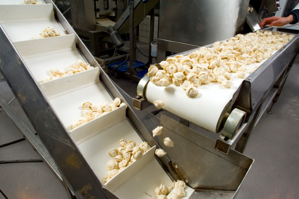 All About Conveyor Belt Types and Their Practical Uses Guide